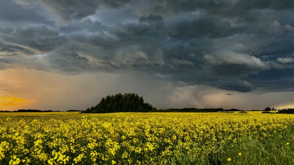 Skywatching Highlights: The Most Striking Space & Weather Photos Of ...