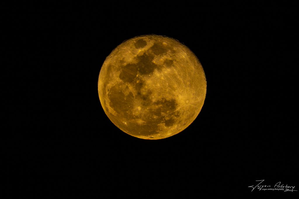 Artemis Rocket Bathed in Snow Moon Glow: February's Full Moon Stuns ...